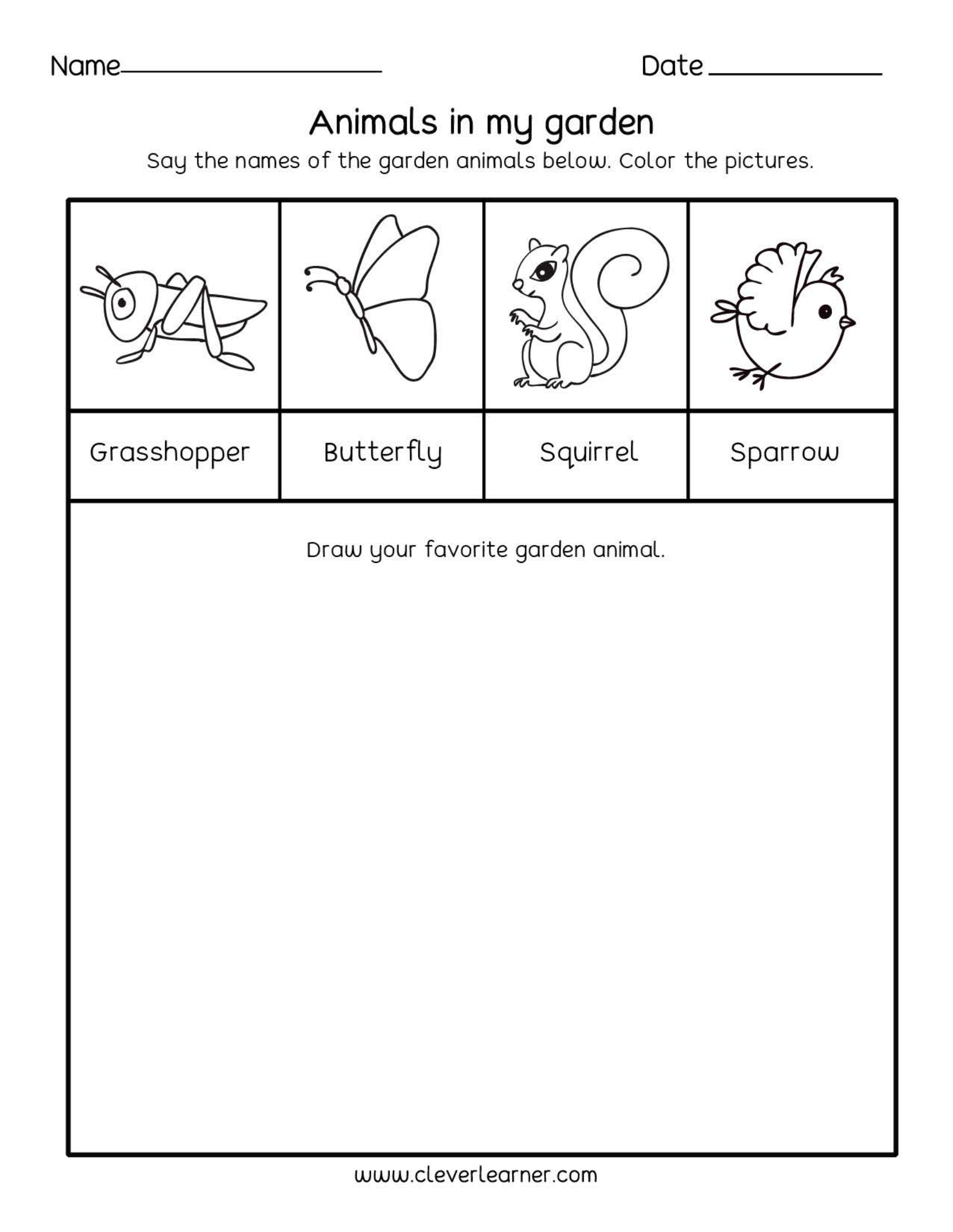Animals in my garden | Worksheet Zone