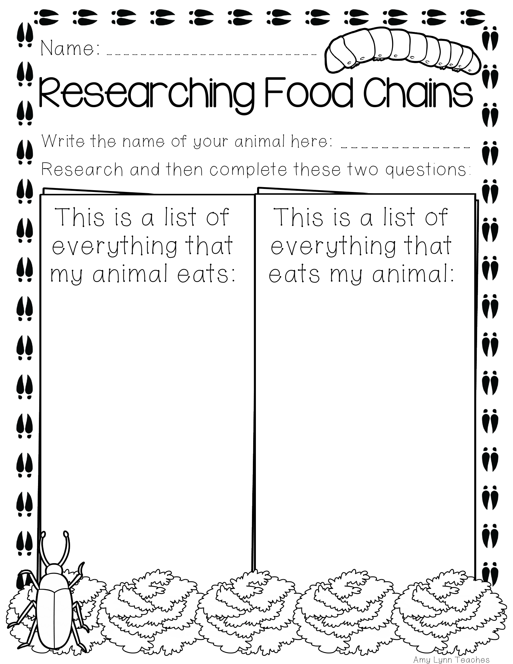 Food Chains Under the Sea | Worksheet Zone
