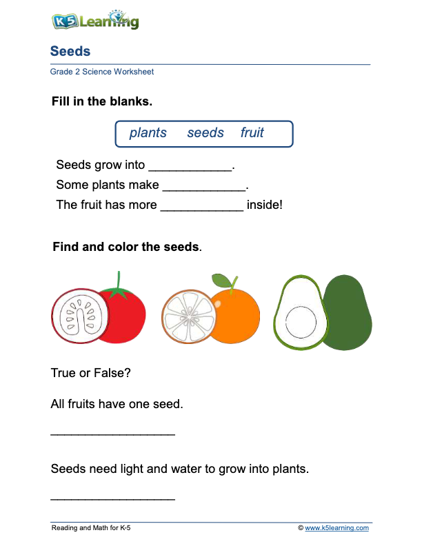 Seeds 3 | Worksheet Zone