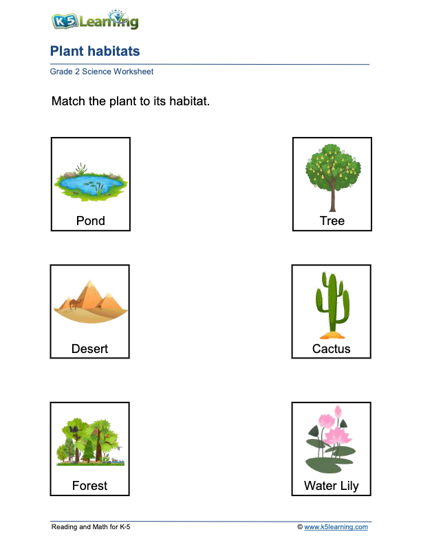 Plant habitats 1 | Worksheet Zone