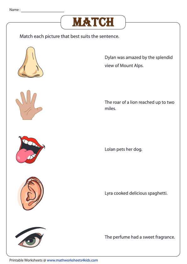 Five senses - Matching | Worksheet Zone