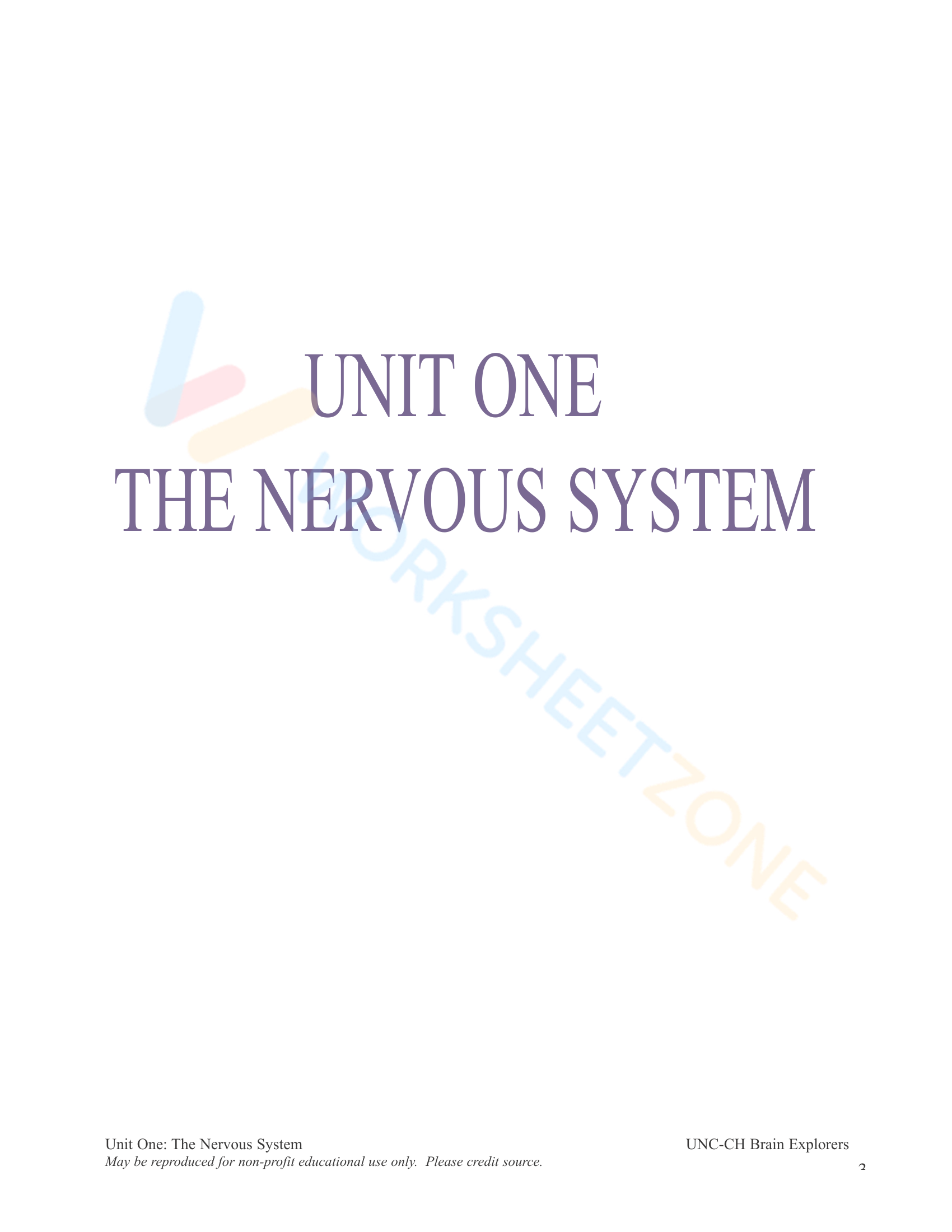 THE NERVOUS SYSTEM BOOKLET | Worksheet Zone