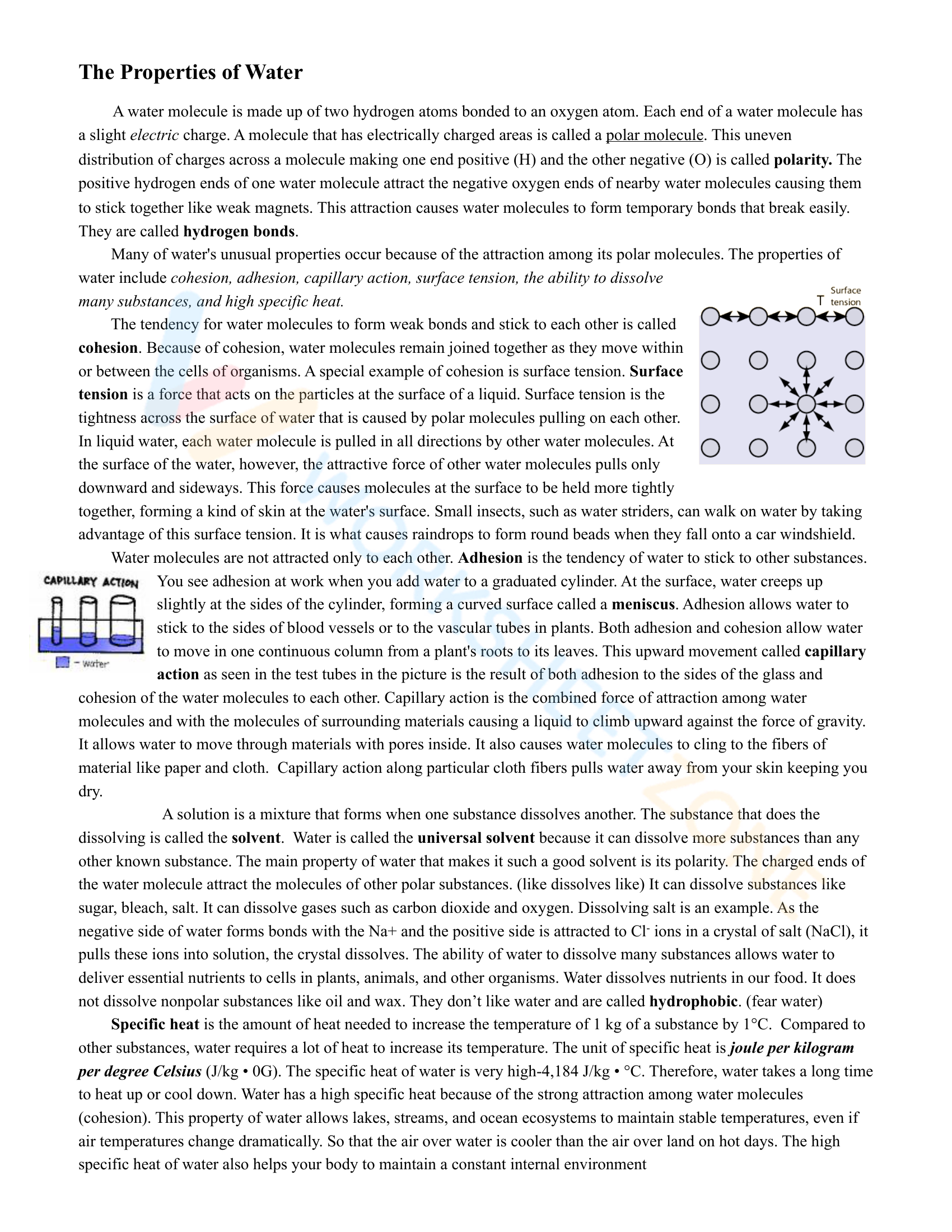 Water Properties | Worksheet Zone