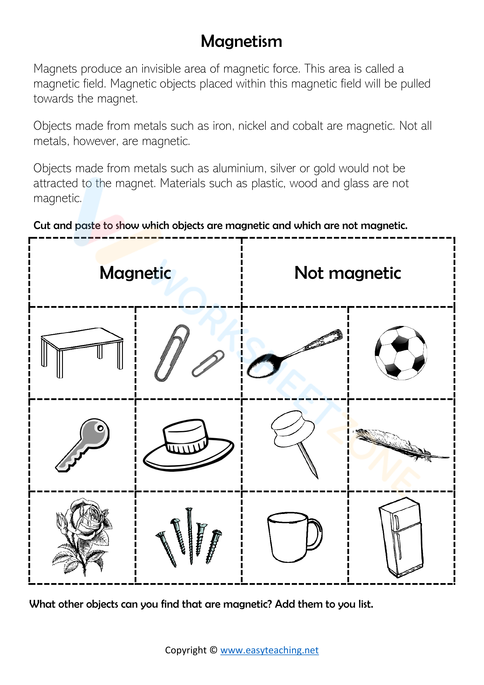 Magnetic or Not Magnetic? | Worksheet Zone