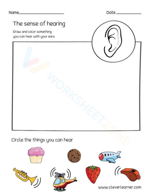 5 senses 6 | Worksheet Zone
