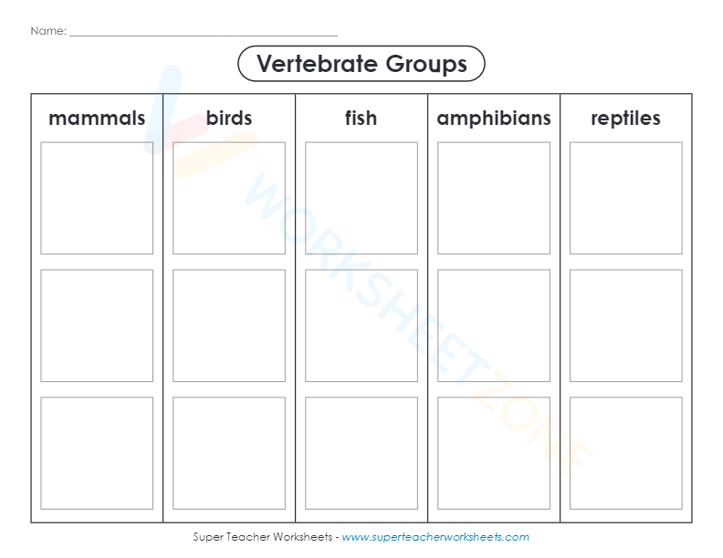 animal classification 1 | Worksheet Zone