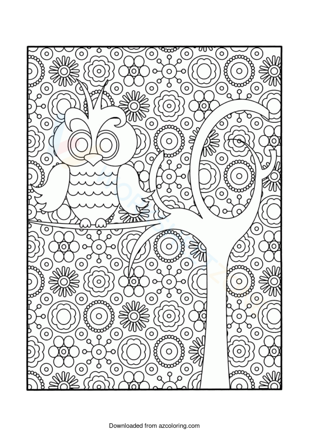 An adorable owl | Worksheet Zone