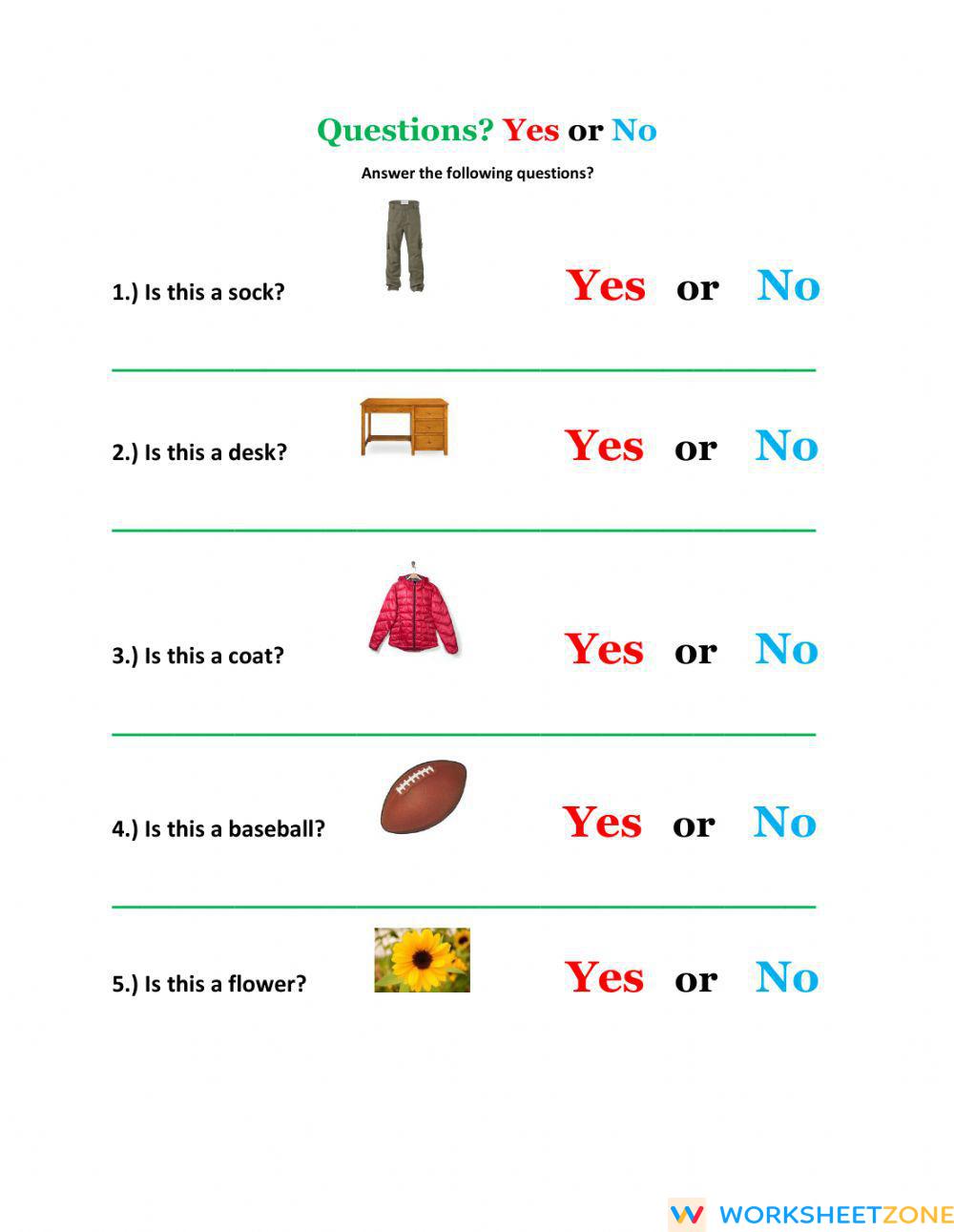 Yes or No Questions-4 | Worksheet Zone