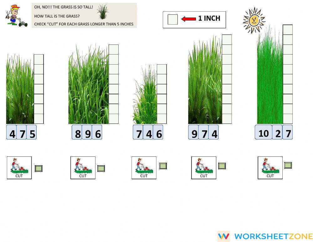 Measure and cut the grass | Worksheet Zone