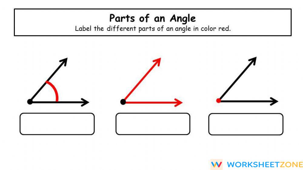 Parts of an Angle | Worksheet Zone