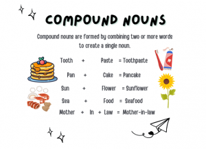 Nouns: Definition, Types, and Functions in Sentences