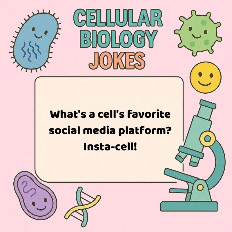 60 Cellular Biology Jokes That Will Split Your Sides