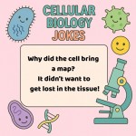 60 Cellular Biology Jokes That Will Split Your Sides