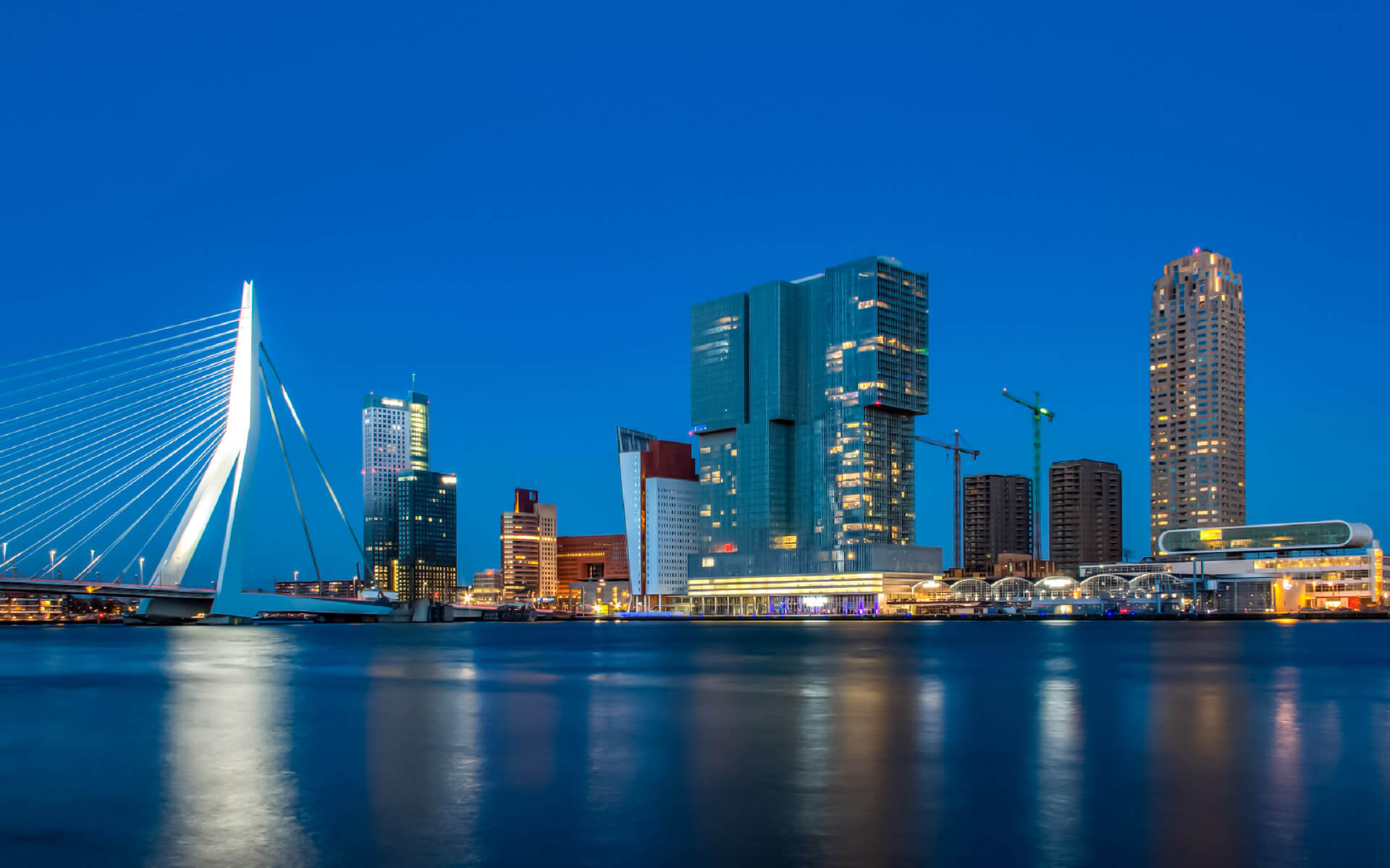 Rotterdam | The Ultimate Travel Guide (2025)