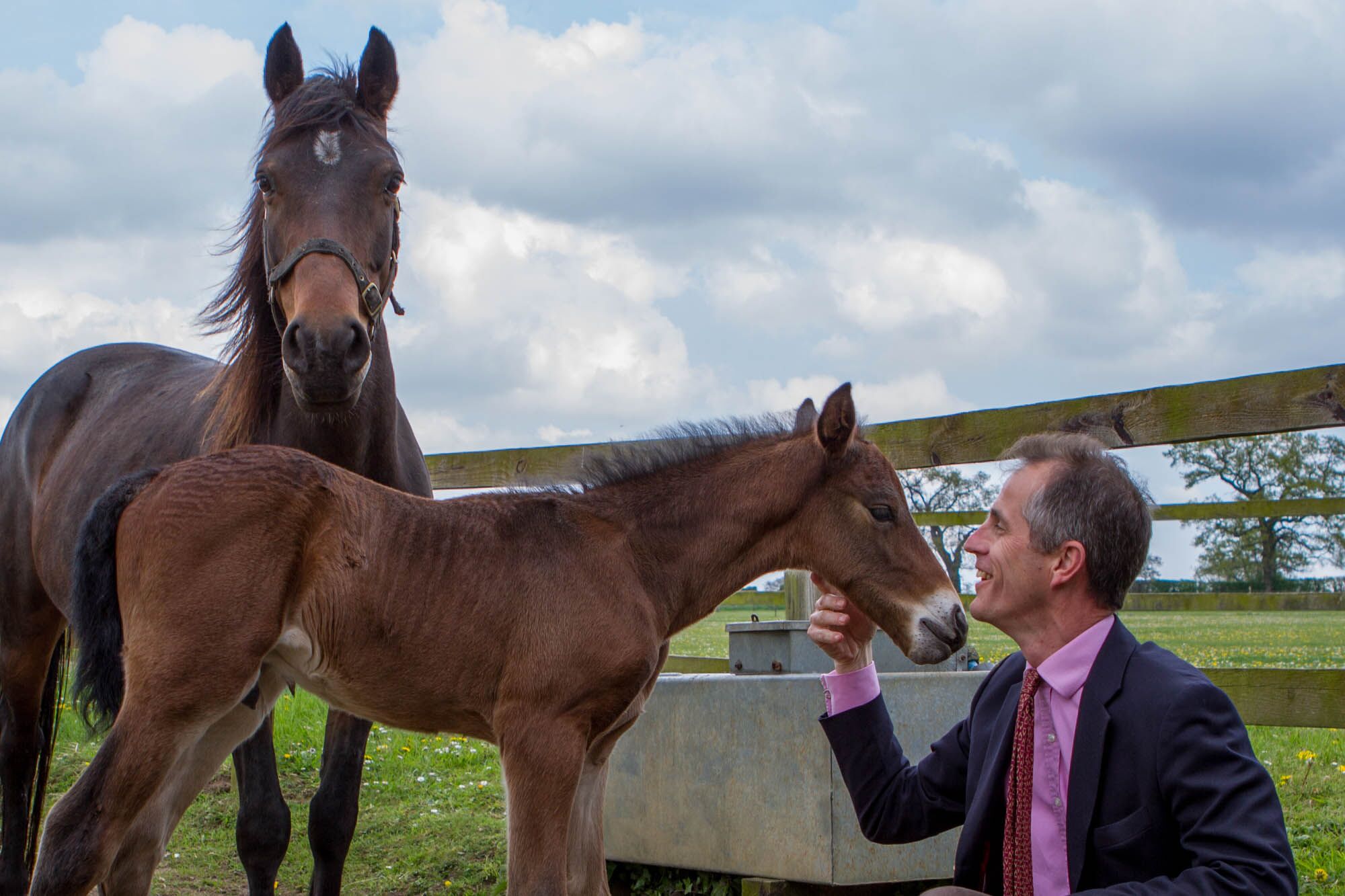 Our Staff - World Horse Welfare