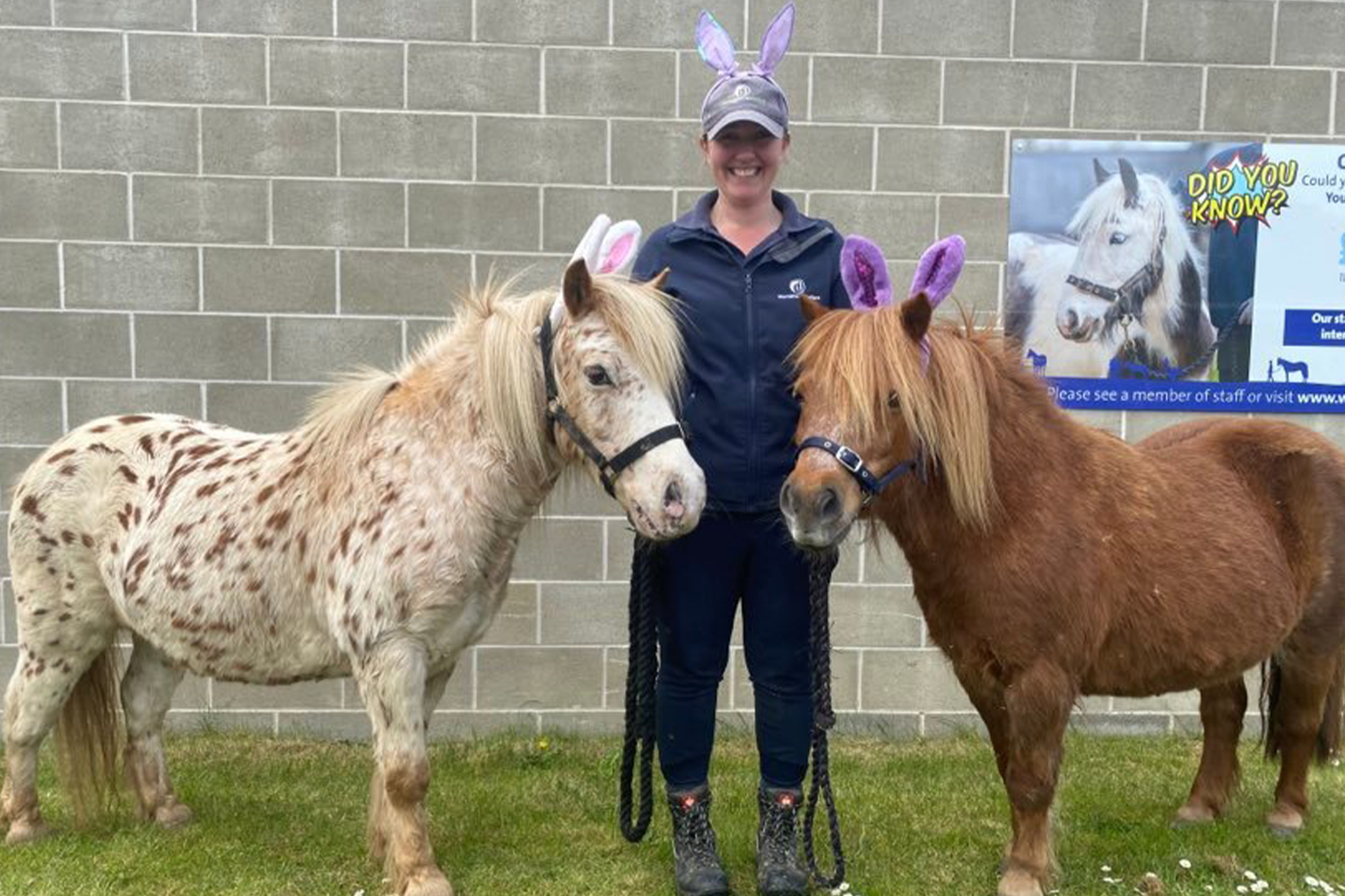 Upcoming events - World Horse Welfare