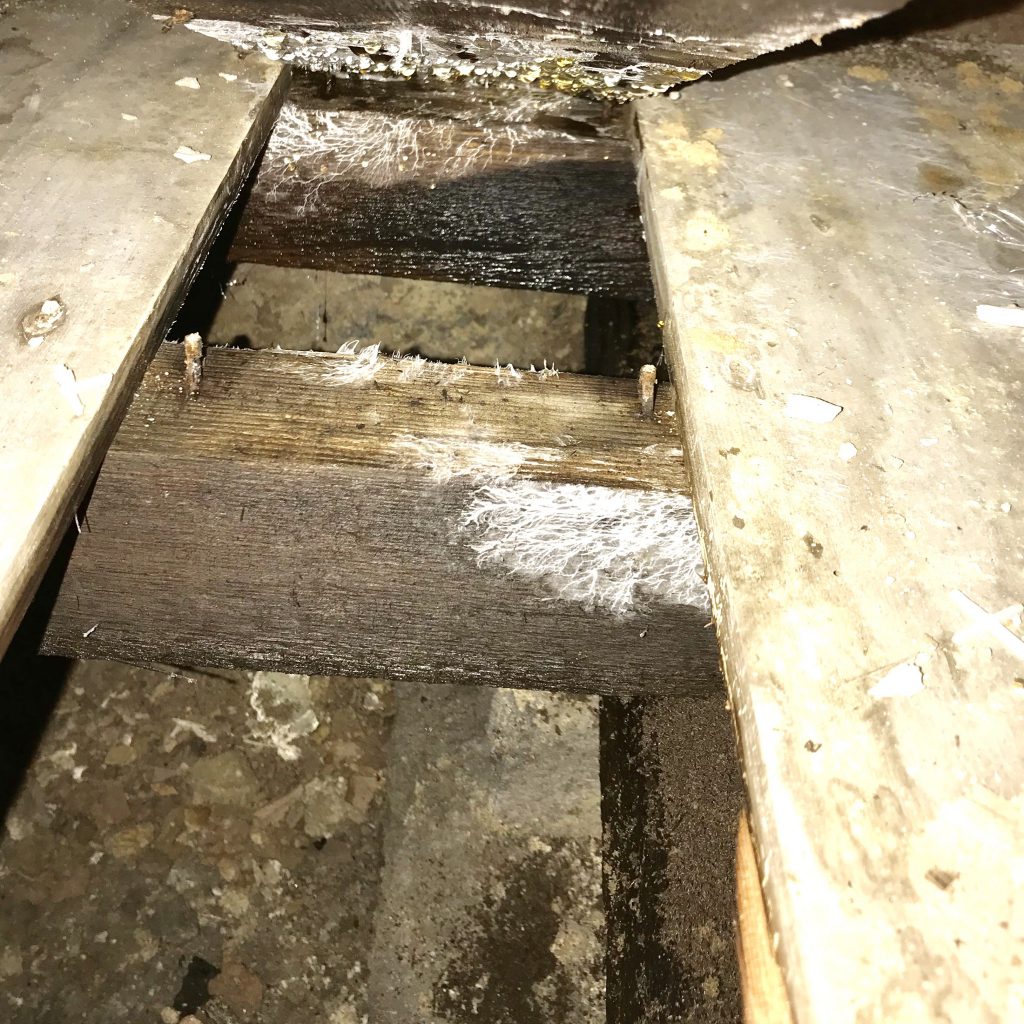 Wet Rot Treatment Specialists in London | Garratt's Damp
