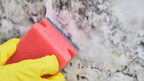 Your Damp Prevention Checklist | Garratt's Damp & Timber