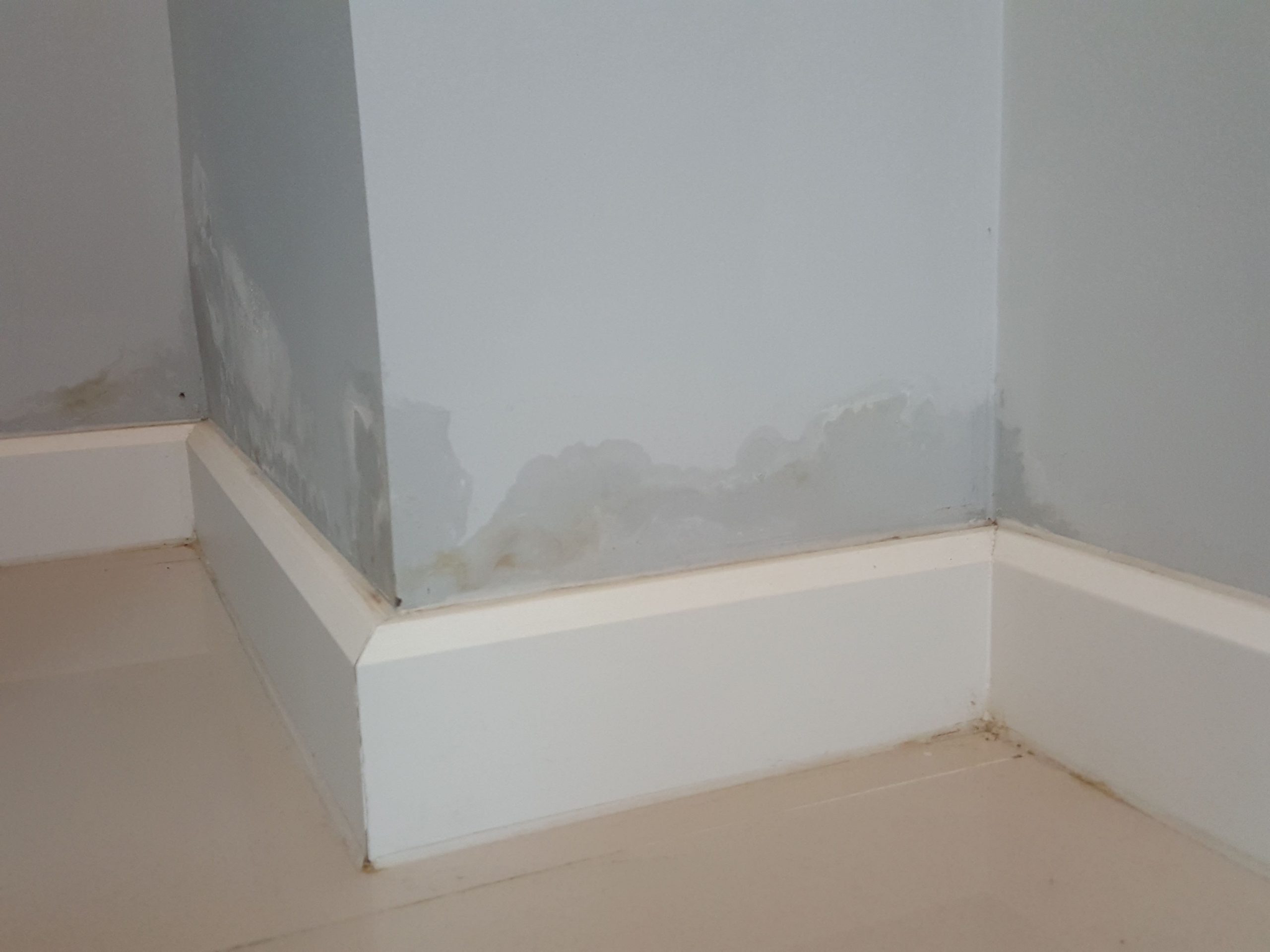 Penetrating Damp Vs Rising Damp Garratt s Damp Timber