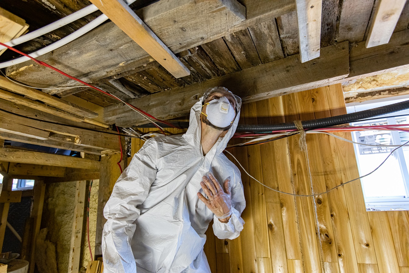 What Are The Effects Of Dampness On Health | Garratt's