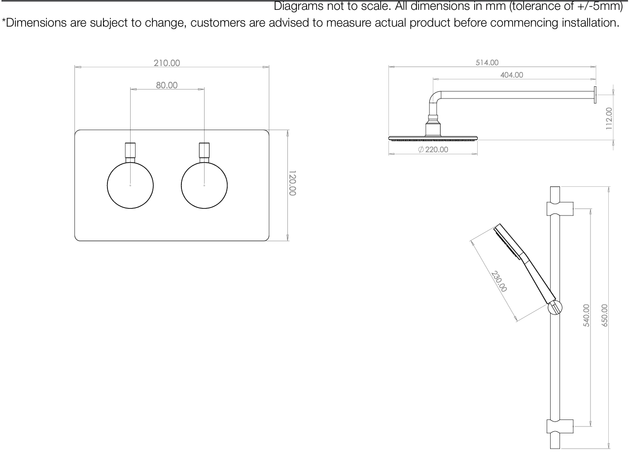 Quantum Dual Function Shower System with Riser Kit & Overhead Shower ...
