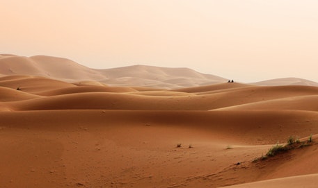 The Sand Ban - Oxbridge Applications