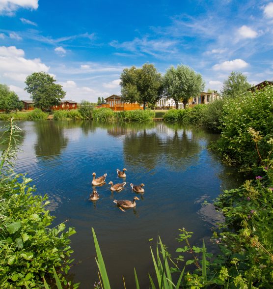 Allens Caravans - Locate a Park for Your Ideal Getaway