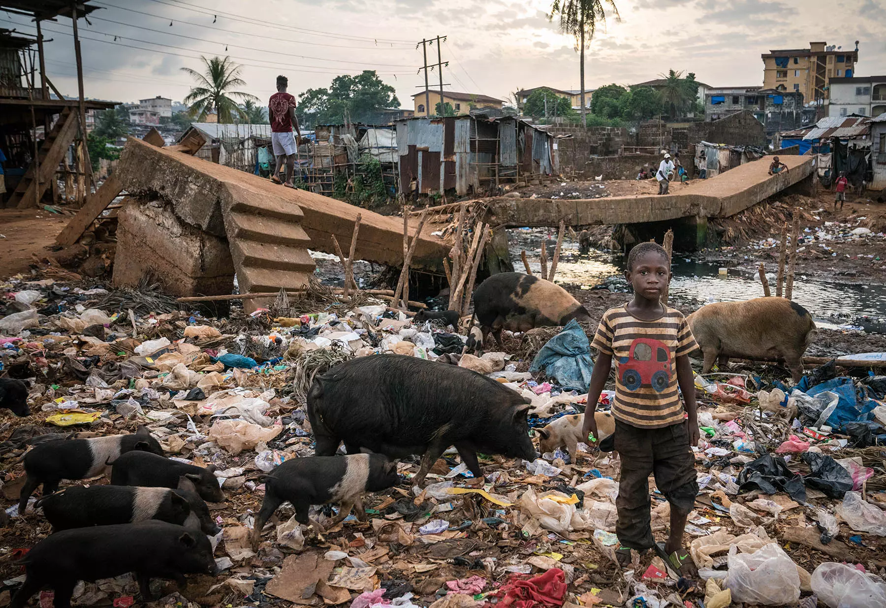 International Day for The Eradication of Poverty - OIN