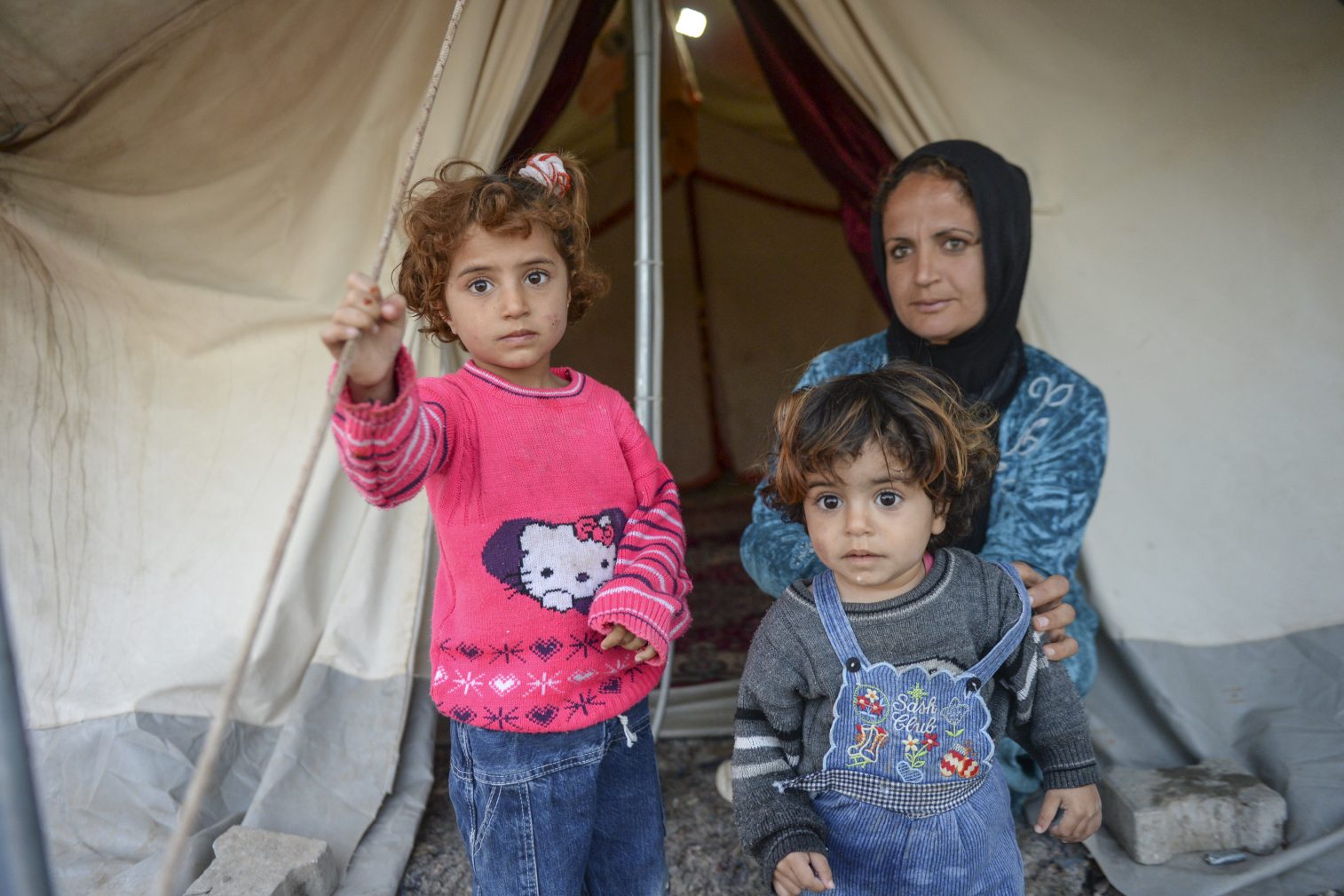Support a Family Turkey - Rise Support