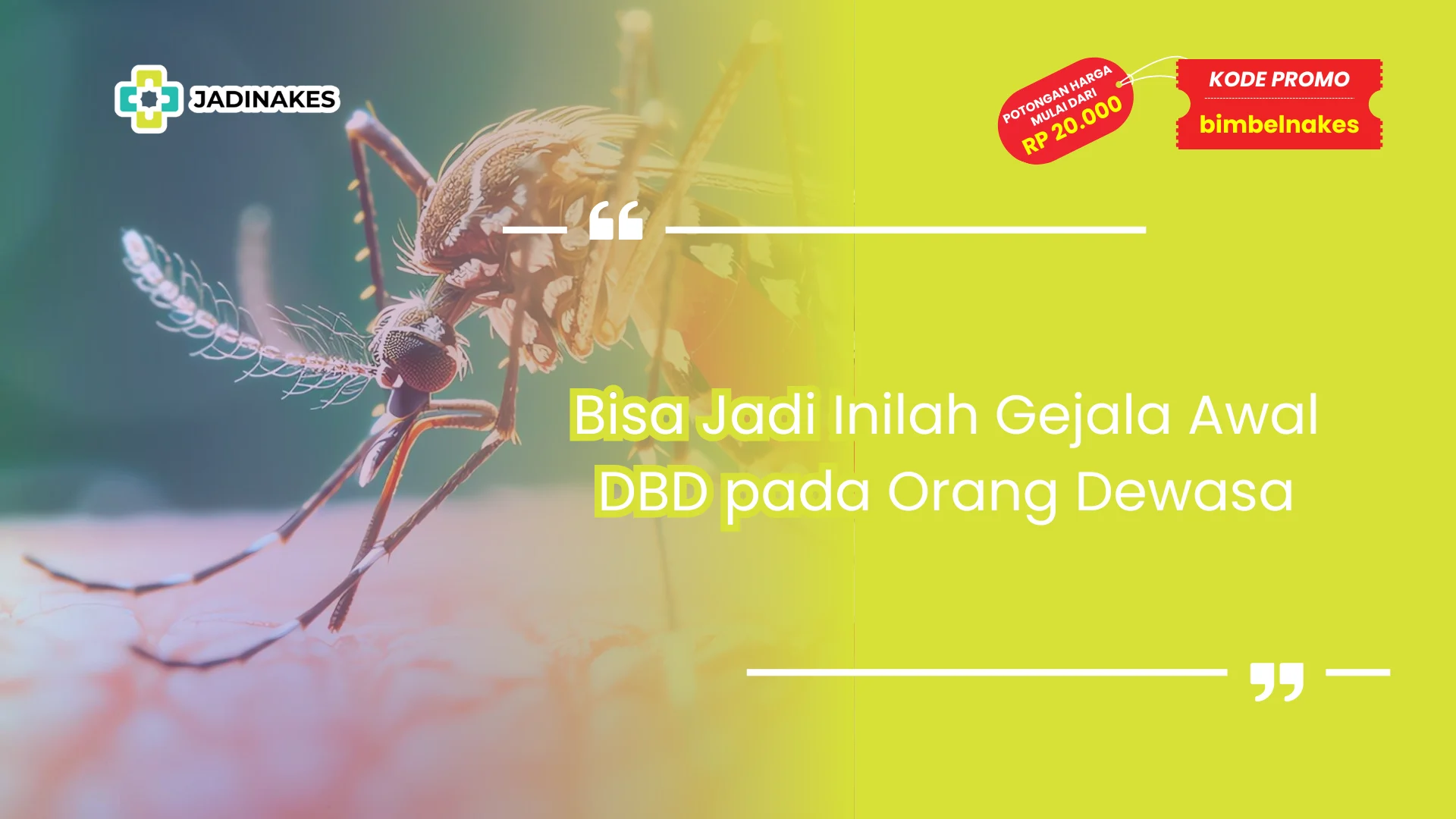 Kenali Gejala Awal DBD pada Anak 3 Tahun - Jadi Nakes