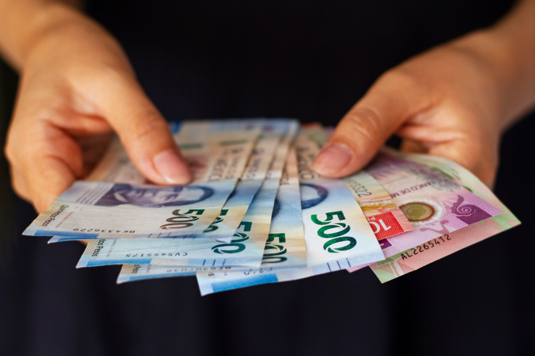 Apa Yang Dimaksud Lembaga Keuangan Mikro OJK? Yuk, Simak!