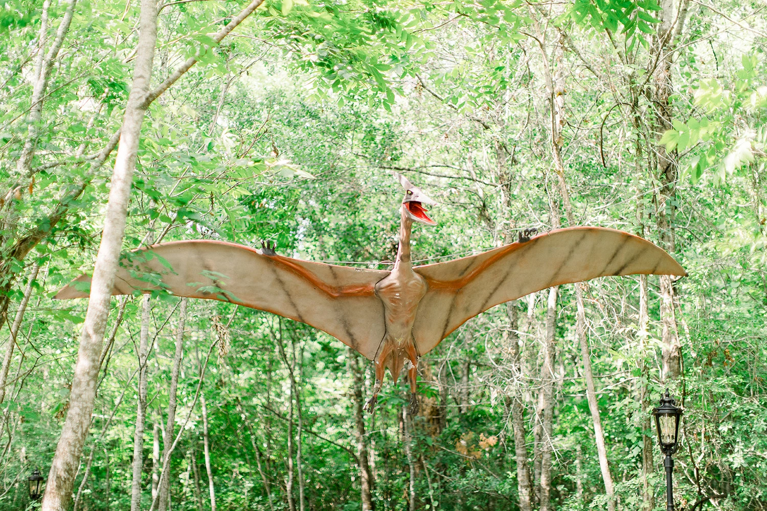 Meet Our Dinosaurs | Prehistoric Park