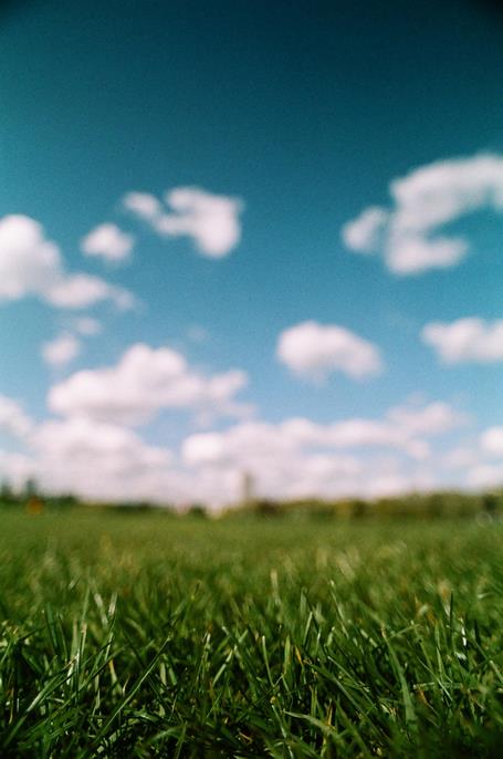 10 Best Green Living Tips Websites