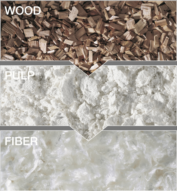 Exploring the Production Process and Tenacity of Tencel Fibers