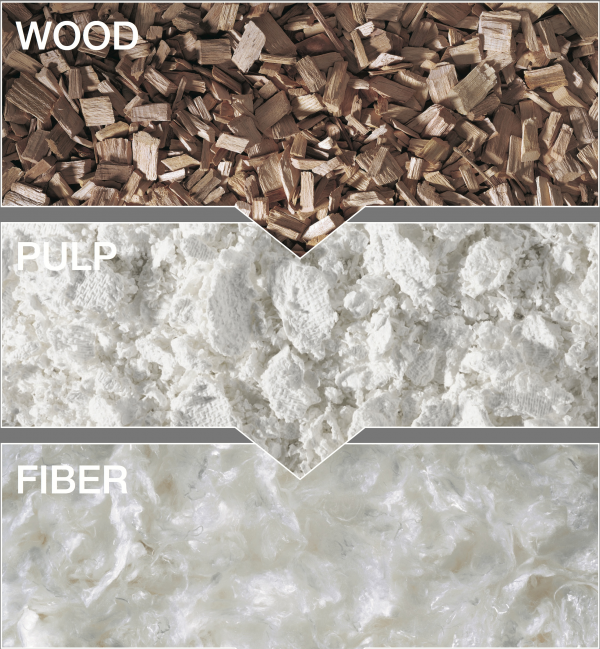 Exploring the Production Process and Tenacity of Tencel Fibers