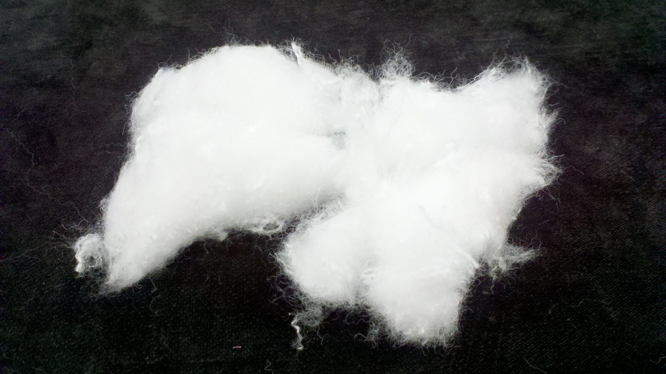 PLA staple fiber 1 - EcoSalon