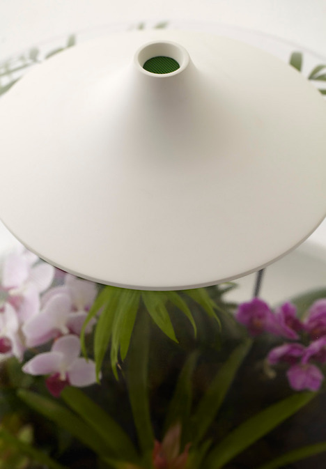 A Dome for The Home: The Biome Terrarium