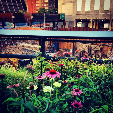 5 Beautiful Urban Parks in Unlikely Places - EcoSalon