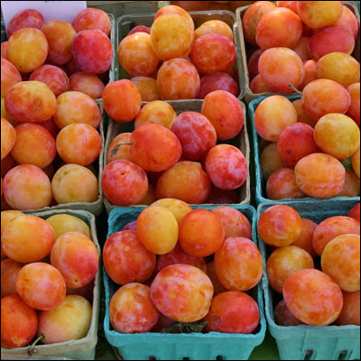 21 Seasonal Plum Recipes for Late Summer - EcoSalon