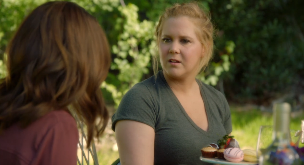 Amy Schumer Nails It On 'Fading Sexuality' of Actresses [Video]