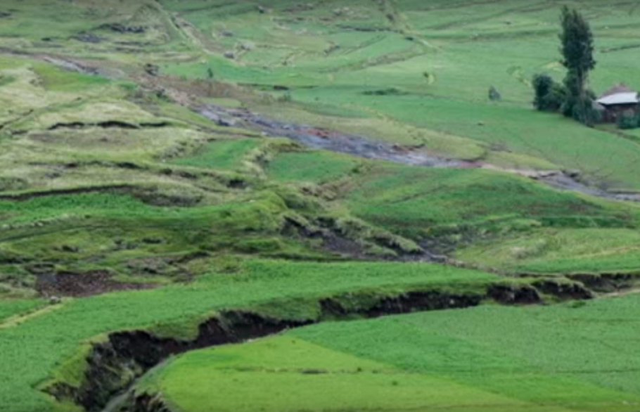 How African Farmers Saved Their Dying Land [Video]