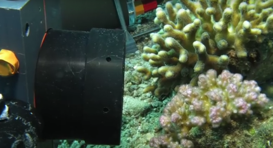 This Underwater Microscope Sees All [Video]