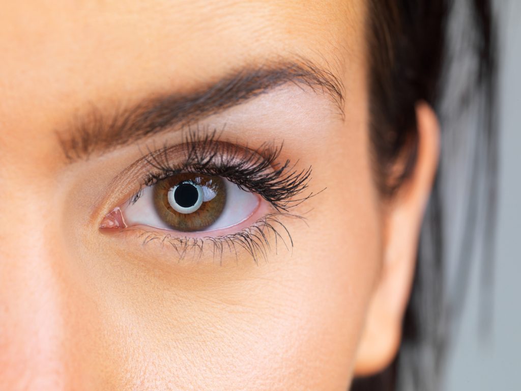 5 Tips for Perfect Eyebrow Maintenance (Mind the Arch!)