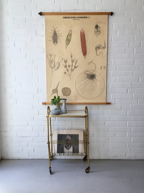 7 Funky Vintage School Decor Finds Strangely Endearing (No Homework!)