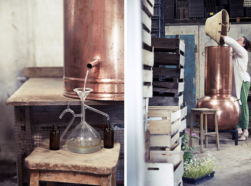 How this Small-Batch Beauty Guru Turns Petals to Potions