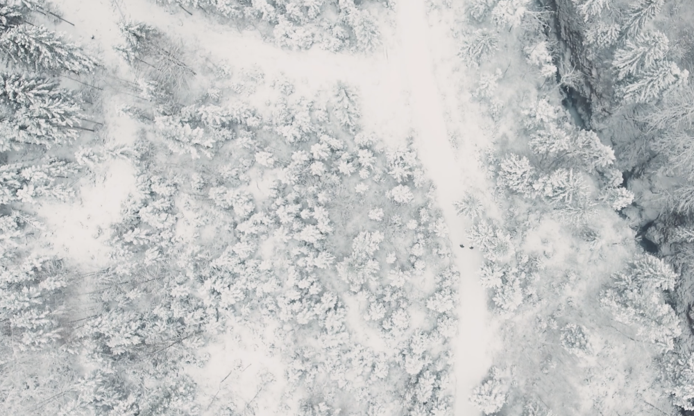 Cold Climates are Beautiful, Too [Video]