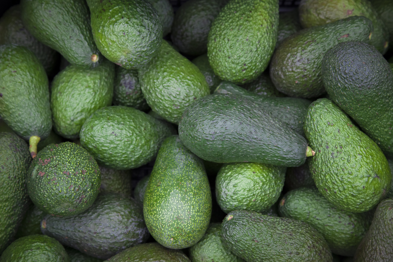 Your Avocado Toast is (Probably) Unsustainable, But That's Changing