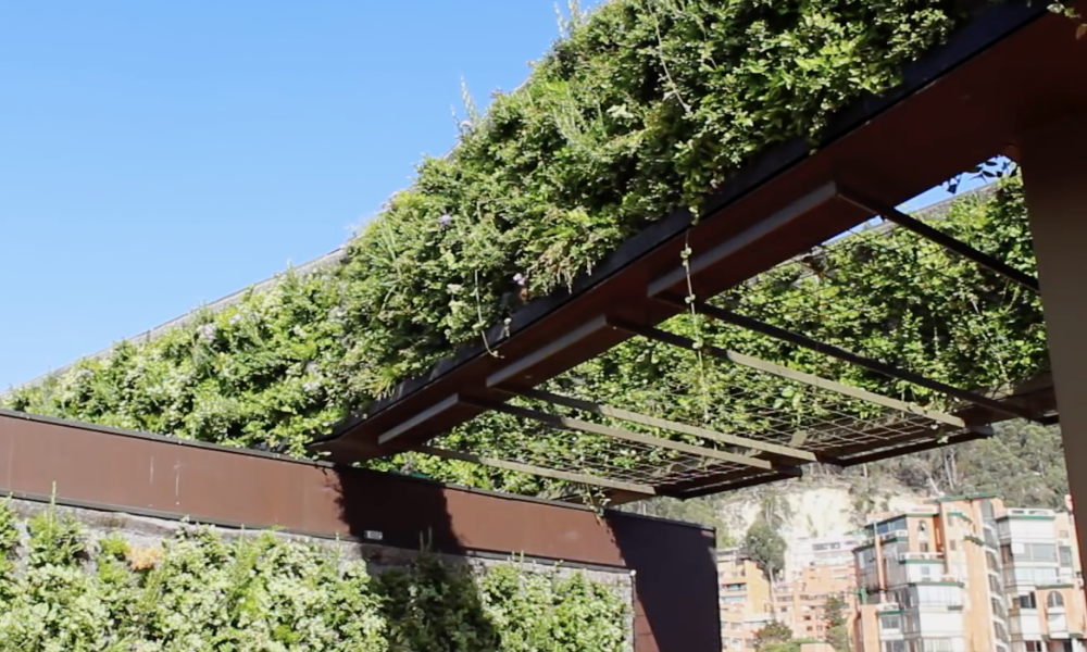 It Takes 115,000 Plants to Make a Living Building [Video]