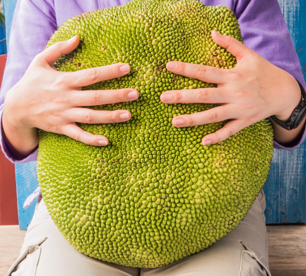 The Philly Cheesesteak Gets a Vegan Makeover With Jackfruit