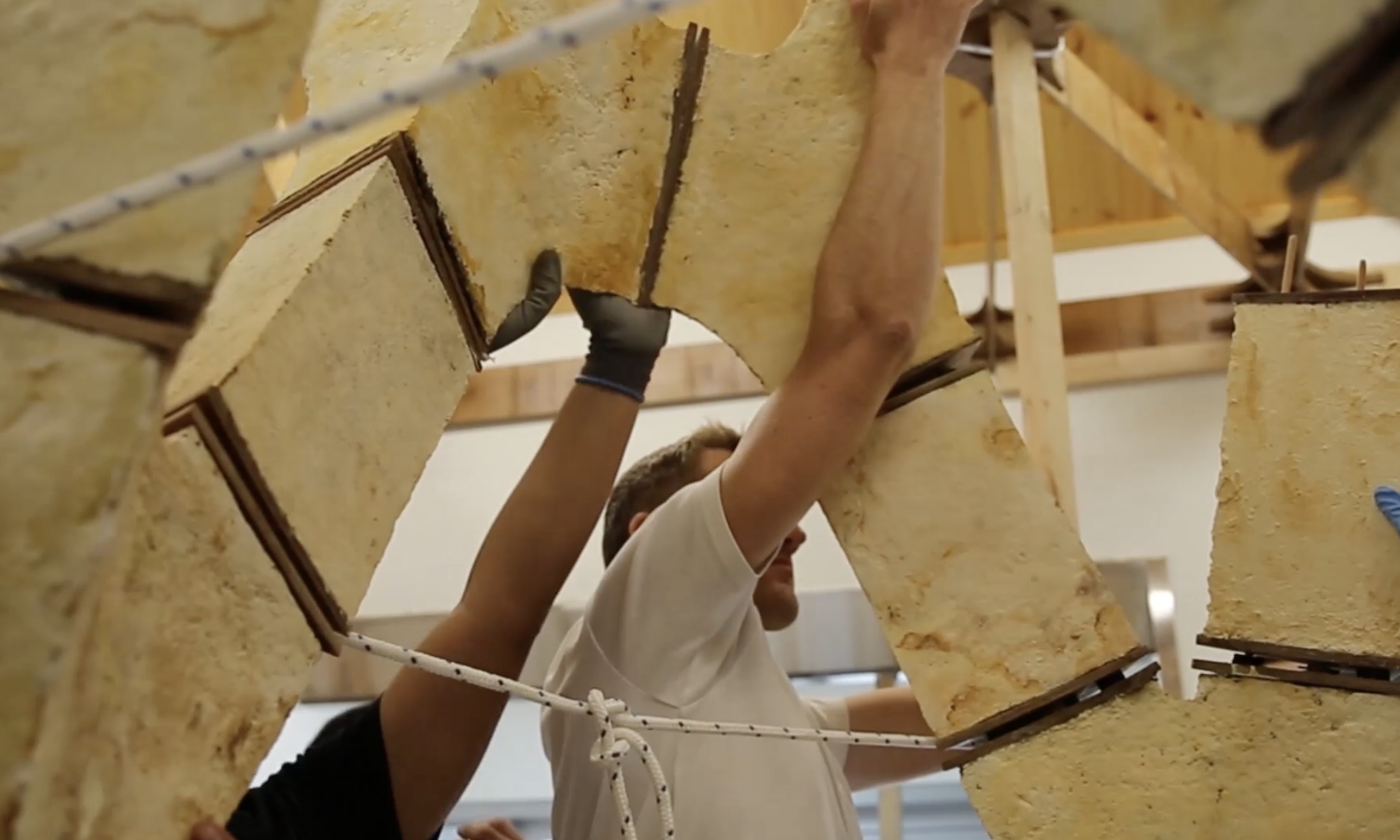 Is Mycelium the Building Material of the Future? [Video]